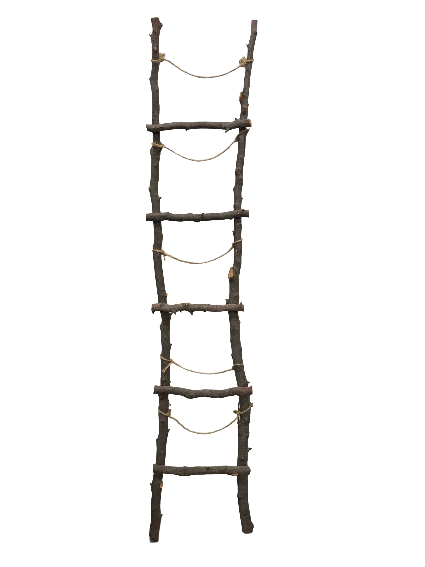 Rustic Ladder with Twigs - Endless Treasures