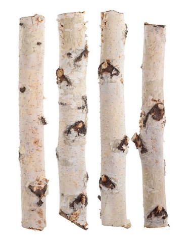 Wood Log: Birch Tree Thin - Linen + Loot | Event Rentals and Styling