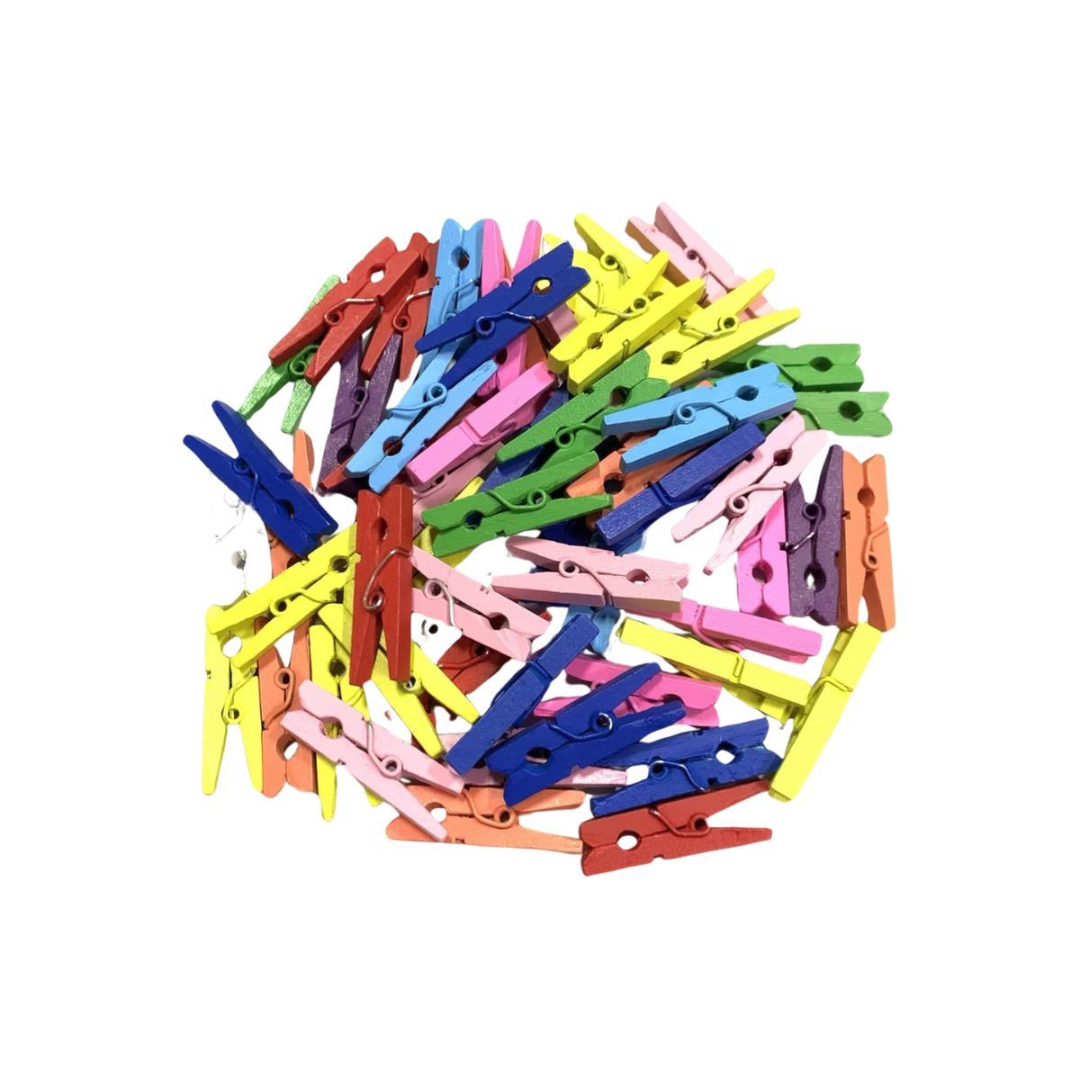 Set of 50 Mini Clothes Pins - Assorted - Relics Rentals
