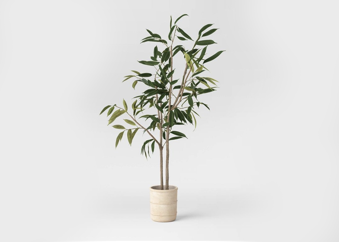 6' Artificial Triangle Ficus Tree – Lily & Cane