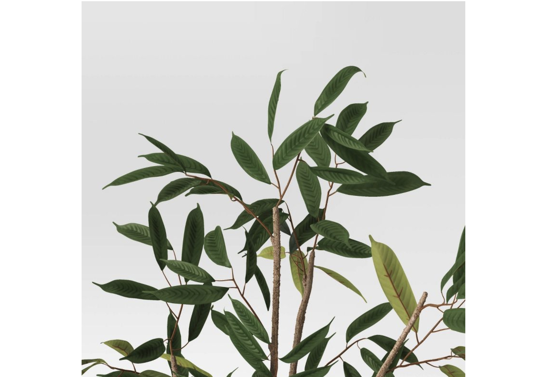 6' Artificial Triangle Ficus Tree – Lily & Cane